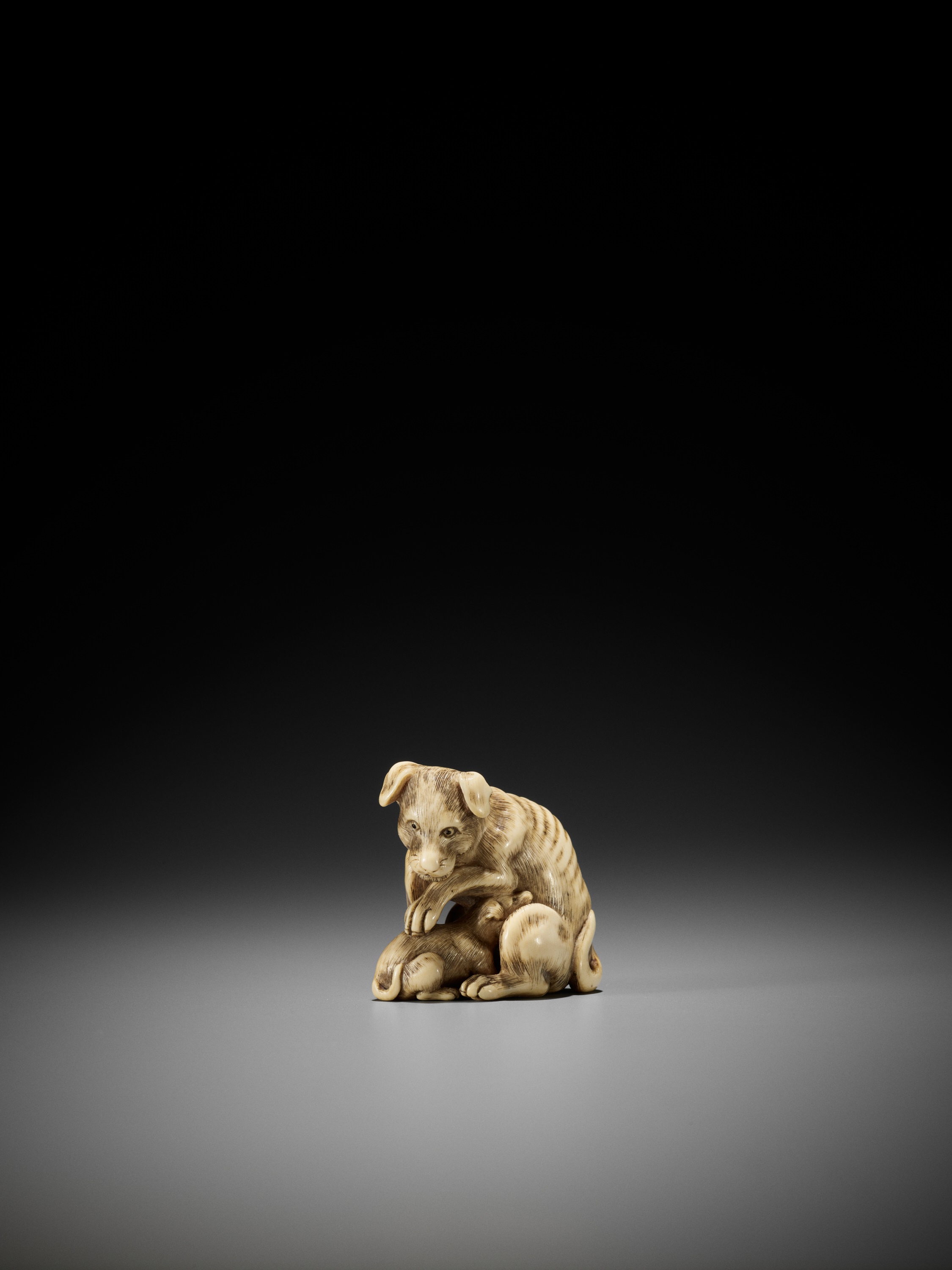 Lot 47 - AN IVORY NETSUKE OF A DOG AND YOUNG,