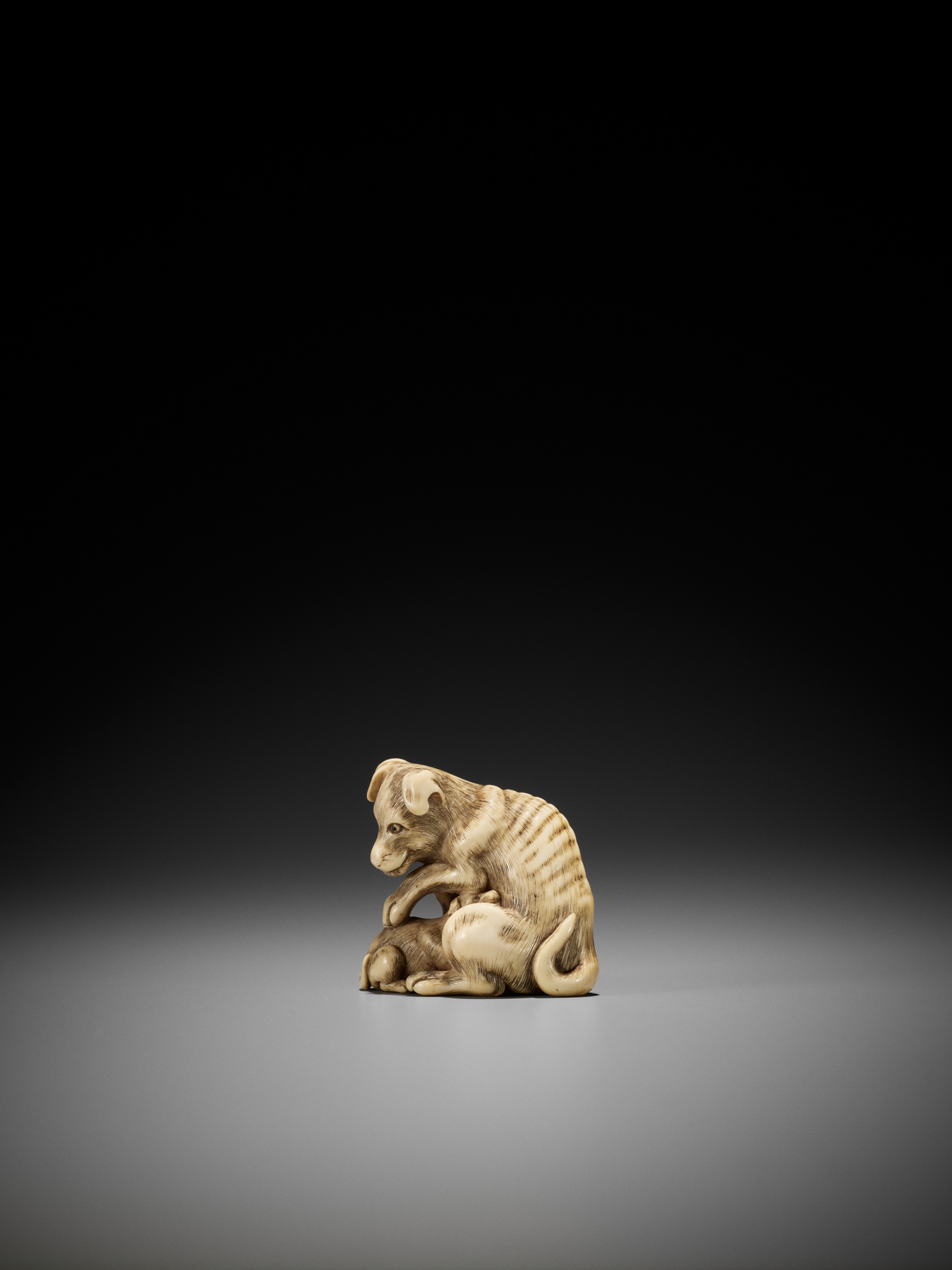 Lot 47 - AN IVORY NETSUKE OF A DOG AND YOUNG,