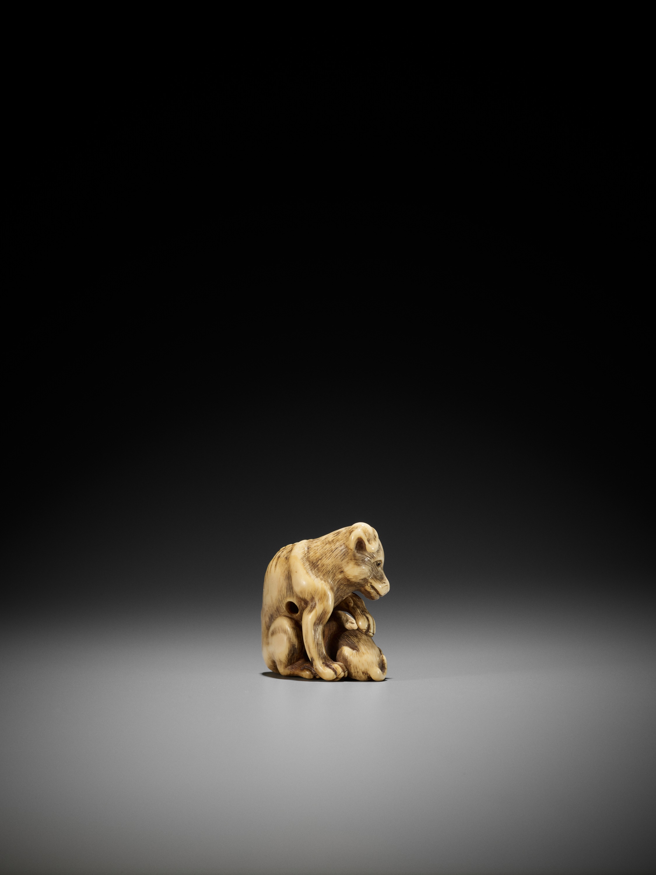 Lot 47 - AN IVORY NETSUKE OF A DOG AND YOUNG,