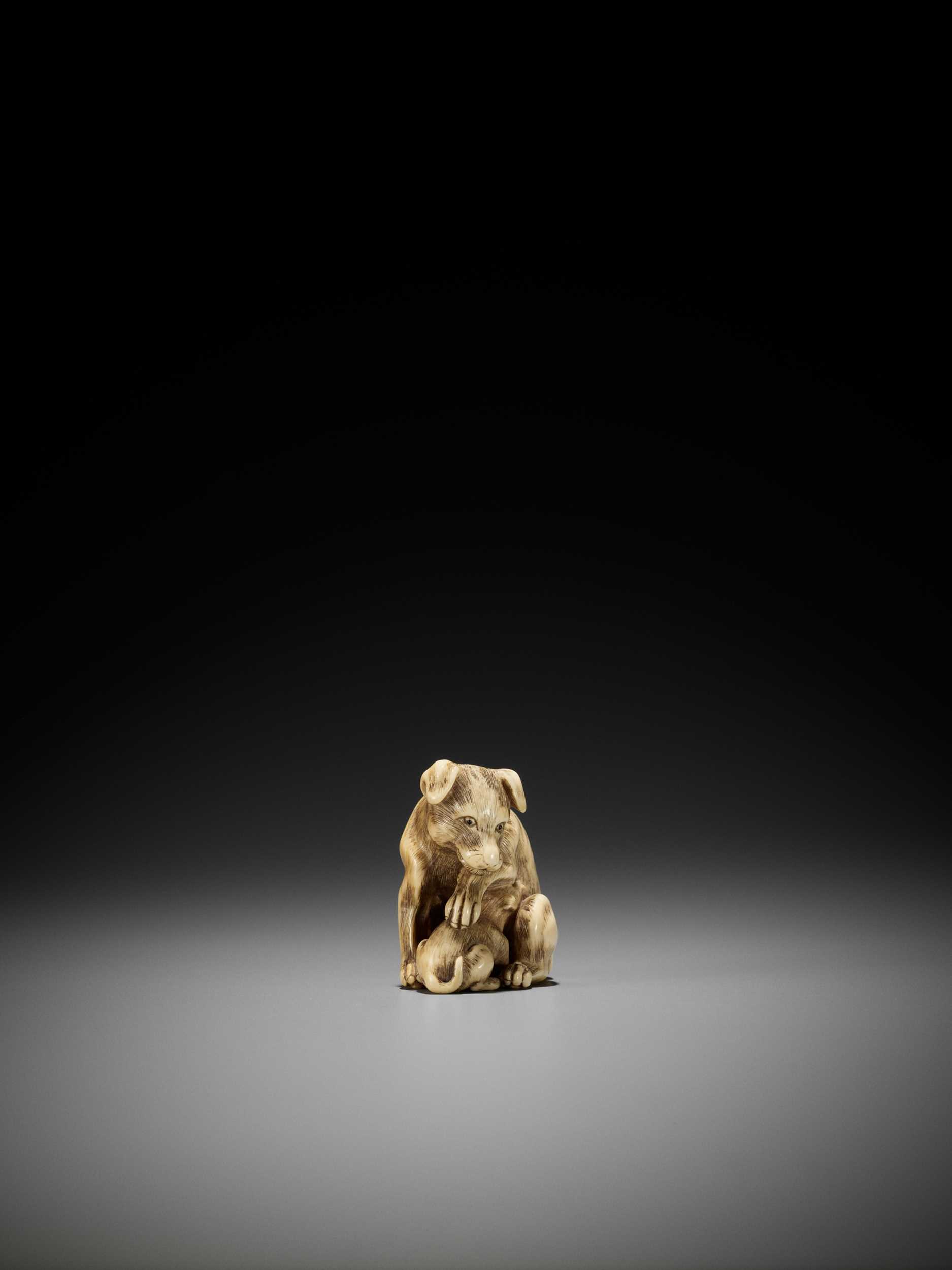 Lot 47 - AN IVORY NETSUKE OF A DOG AND YOUNG,