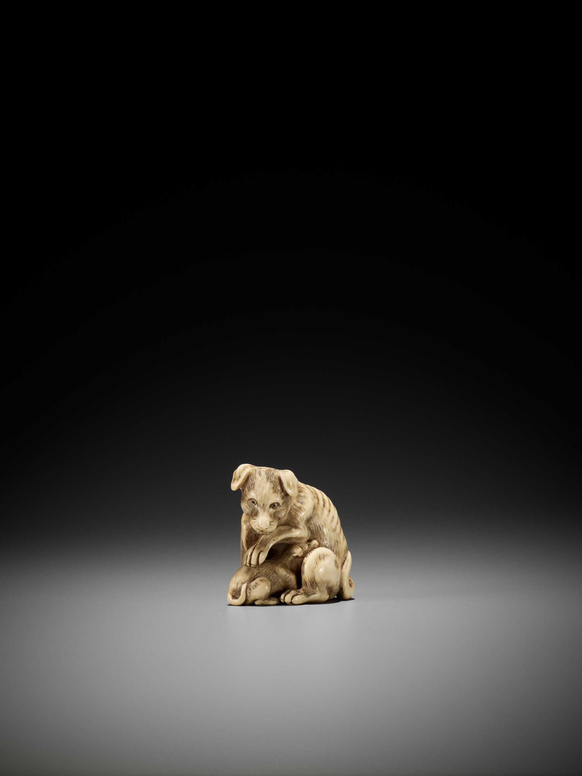 Lot 47 - AN IVORY NETSUKE OF A DOG AND YOUNG,