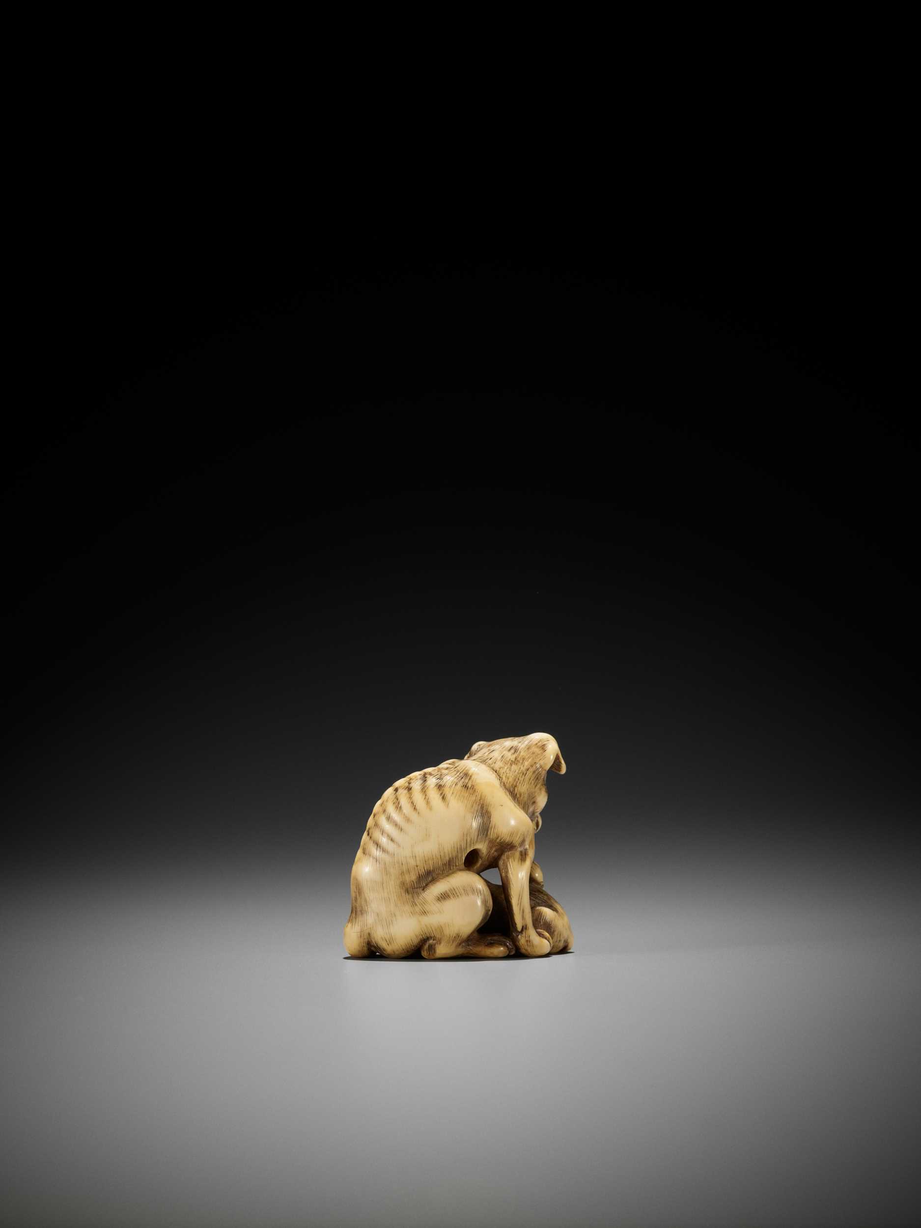 Lot 47 - AN IVORY NETSUKE OF A DOG AND YOUNG,