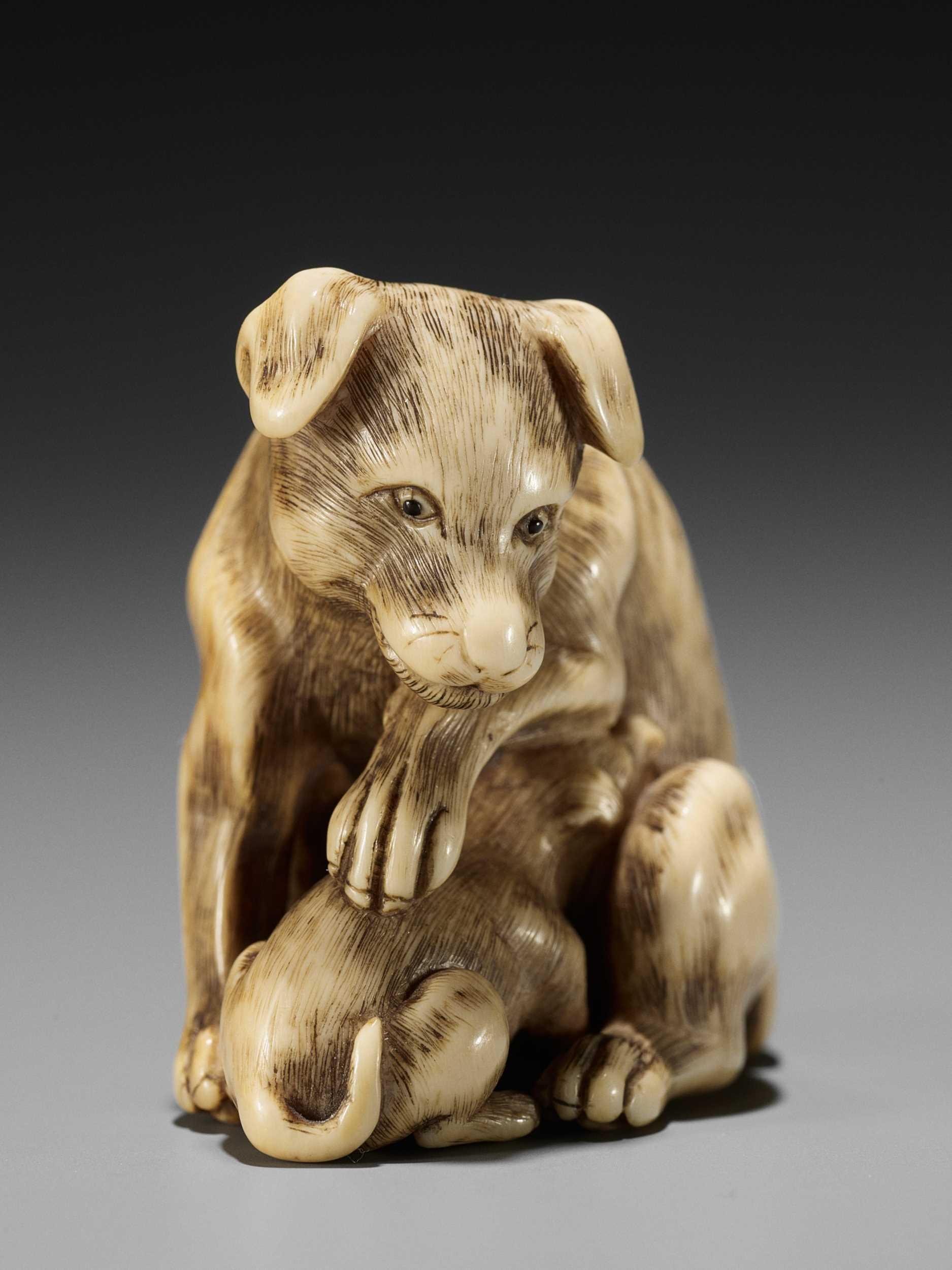 Lot 47 - AN IVORY NETSUKE OF A DOG AND YOUNG,