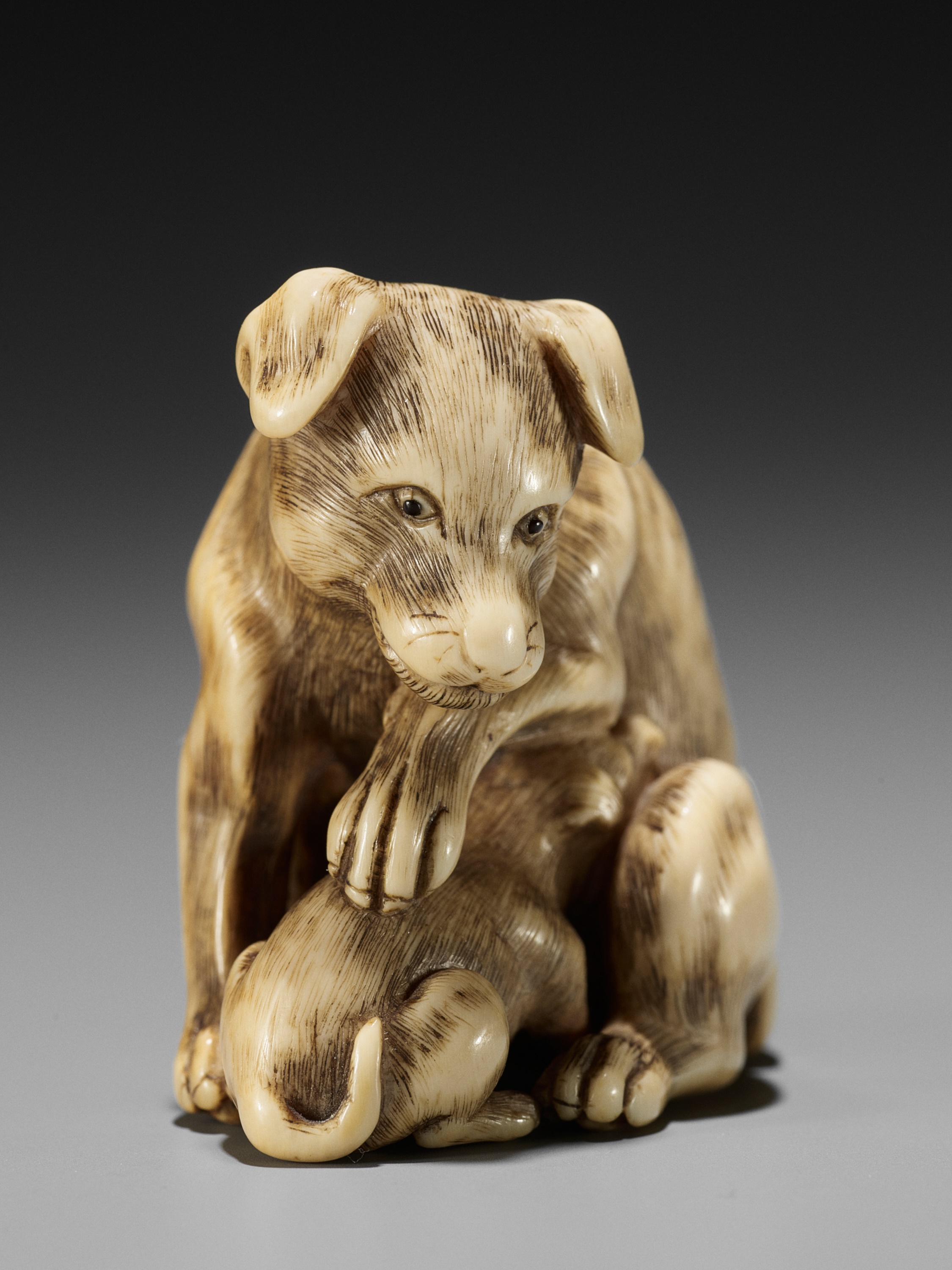 Lot 47 - AN IVORY NETSUKE OF A DOG AND YOUNG,