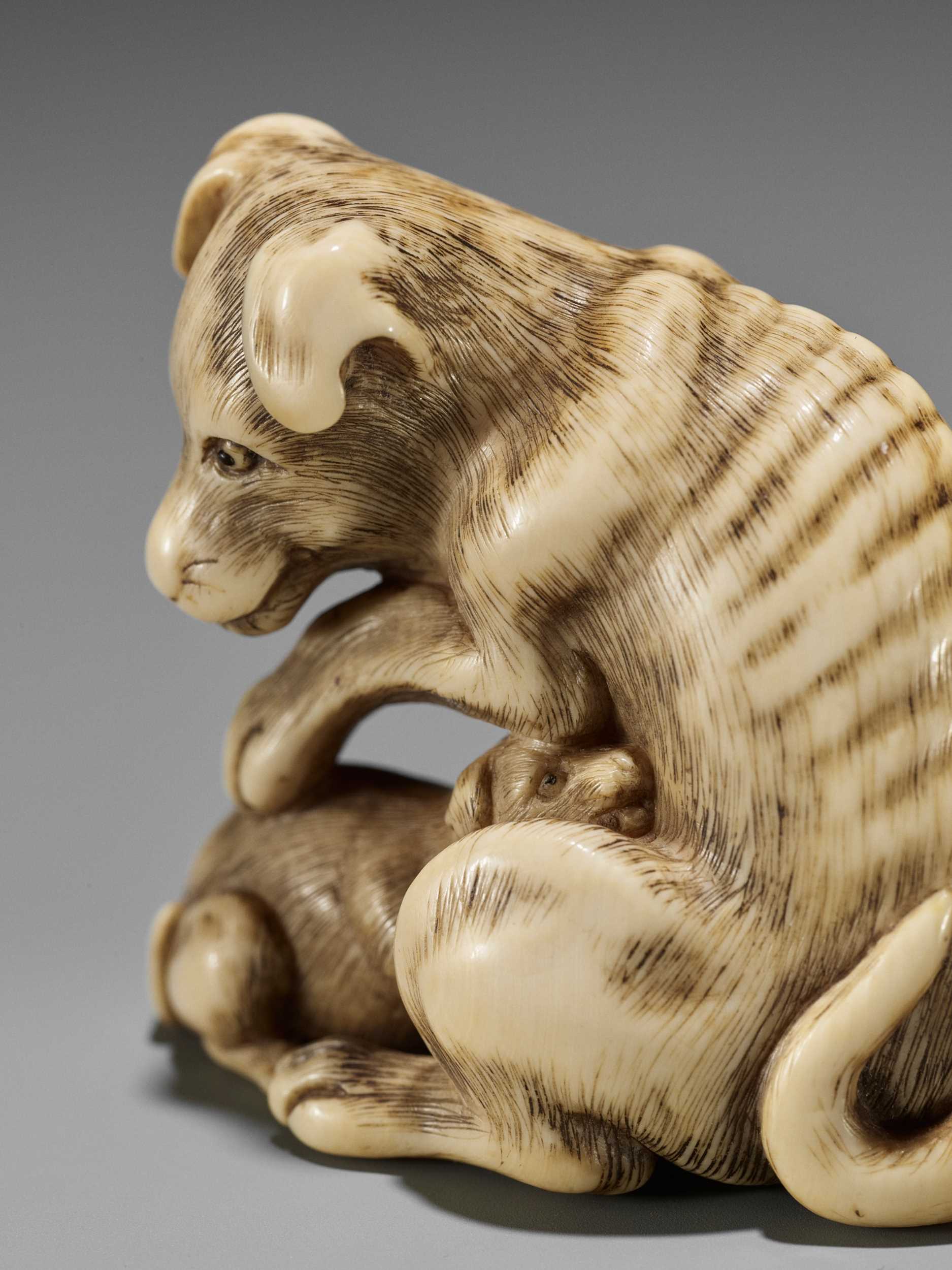 Lot 47 - AN IVORY NETSUKE OF A DOG AND YOUNG,