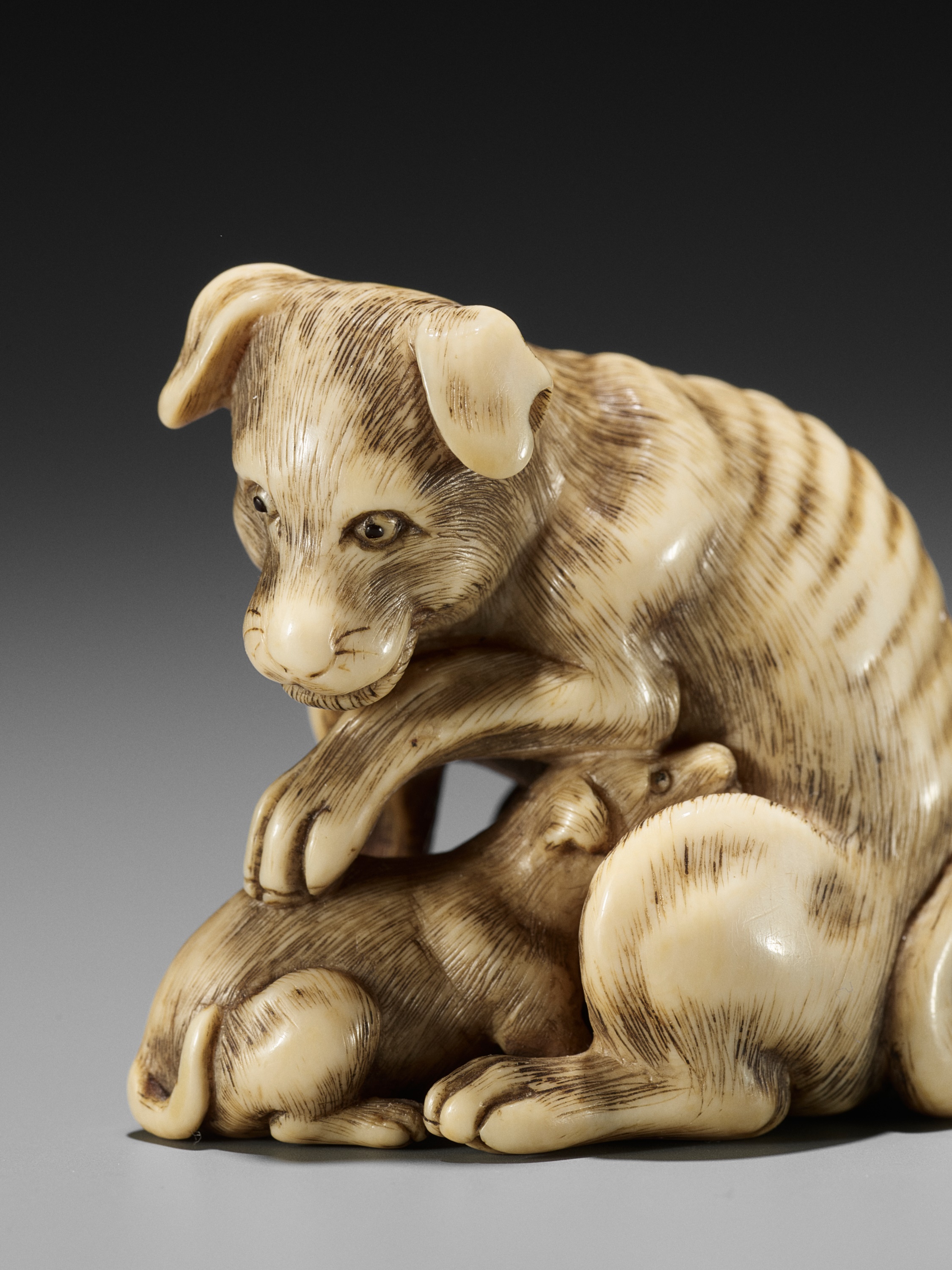 Lot 47 - AN IVORY NETSUKE OF A DOG AND YOUNG,