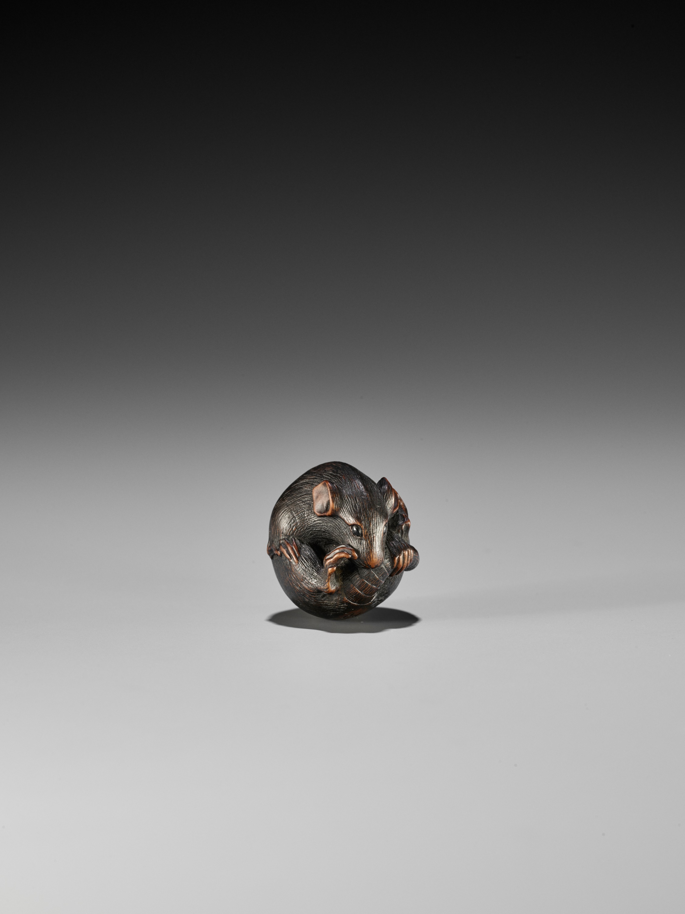 Lot 43 - MASANAO: A FINE WOOD NETSUKE OF A COILED RAT