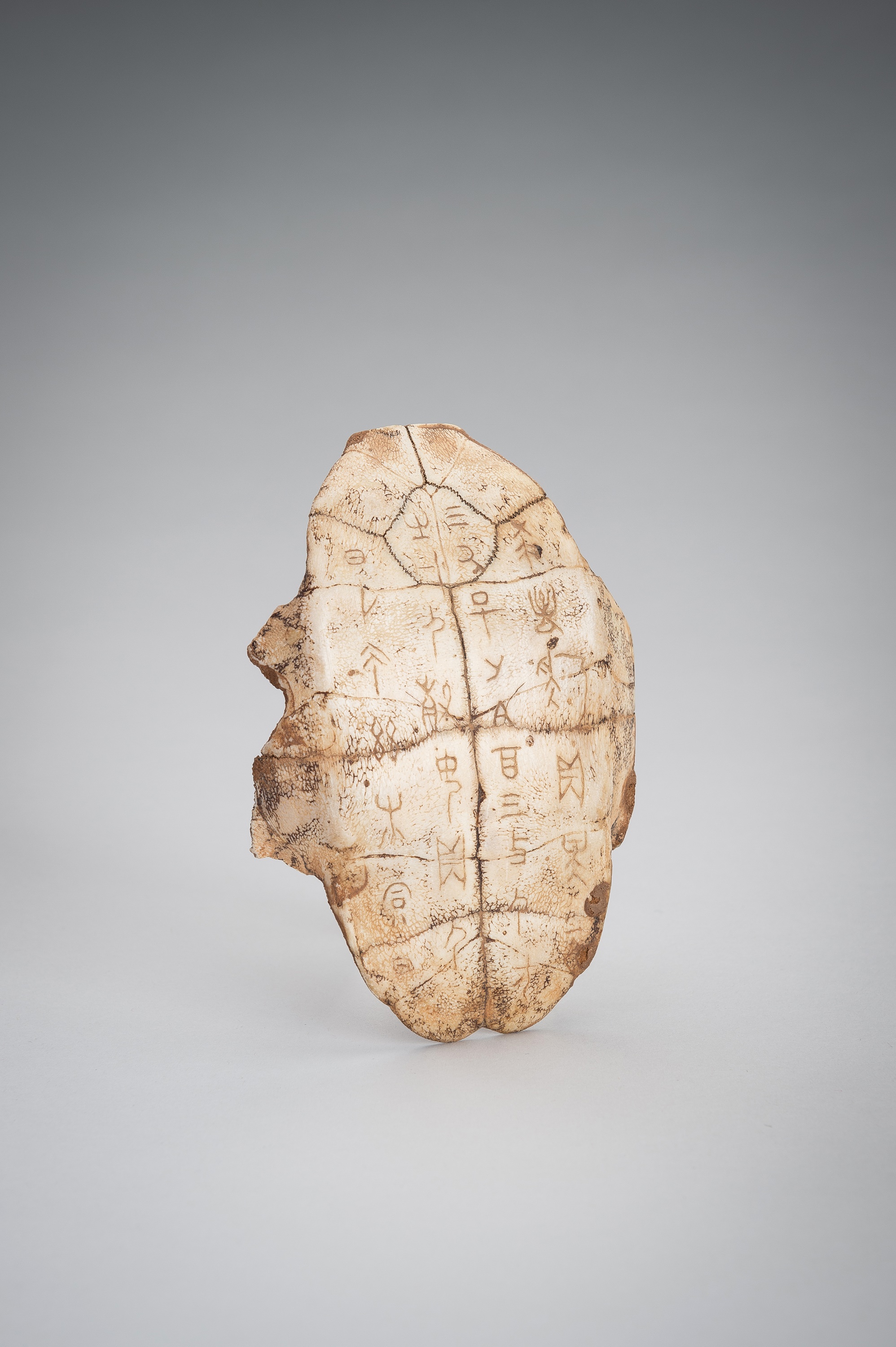 Lot 63 - AN INSCRIBED SHANG DYNASTY ‘ORACLE BONE’