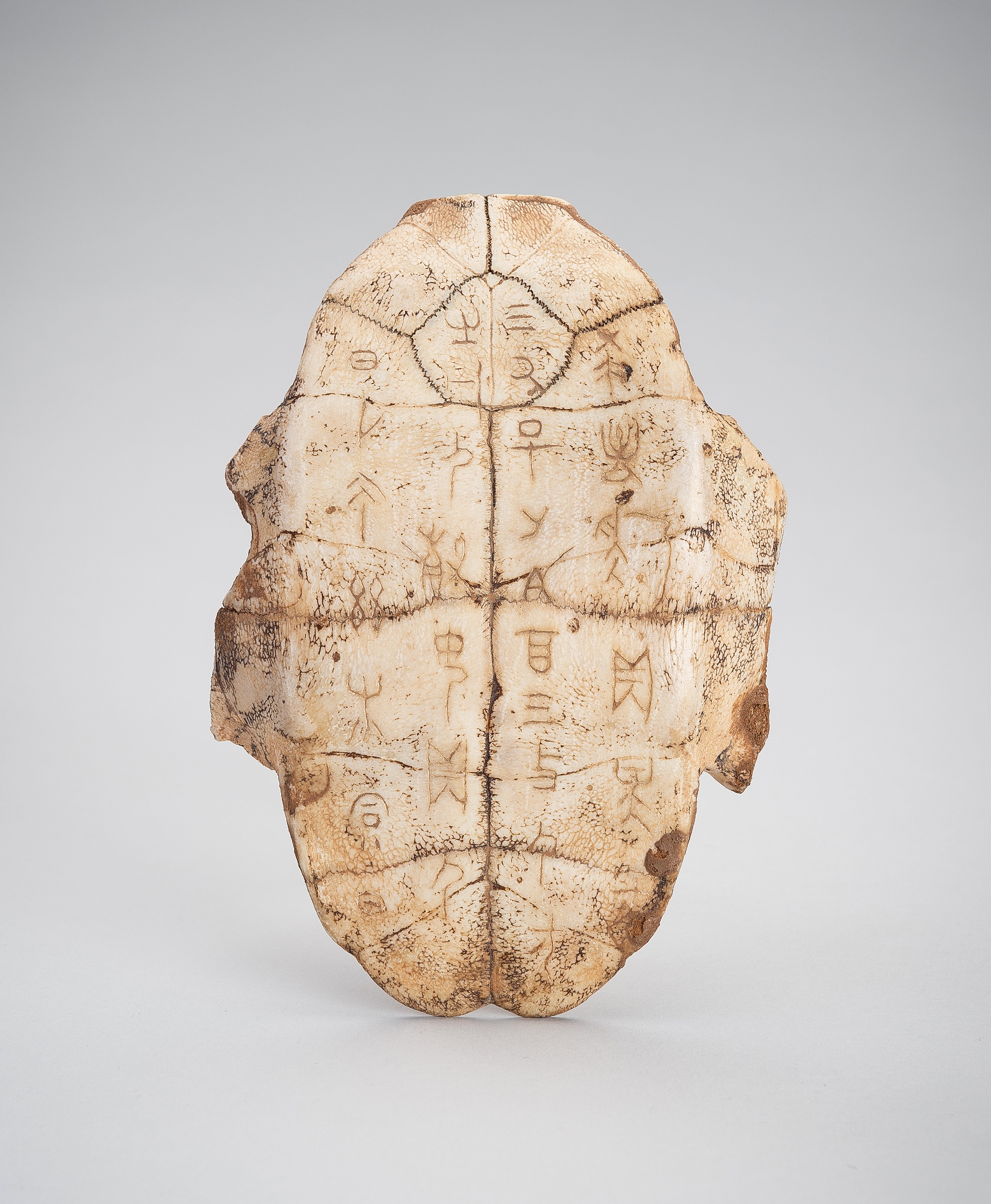 Lot 63 - AN INSCRIBED SHANG DYNASTY ‘ORACLE BONE’