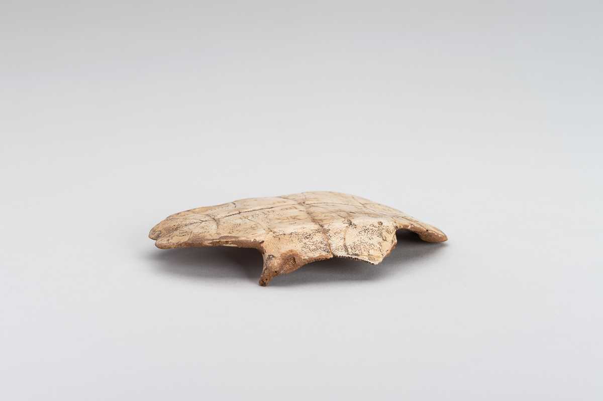 Lot 63 - AN INSCRIBED SHANG DYNASTY ‘ORACLE BONE’