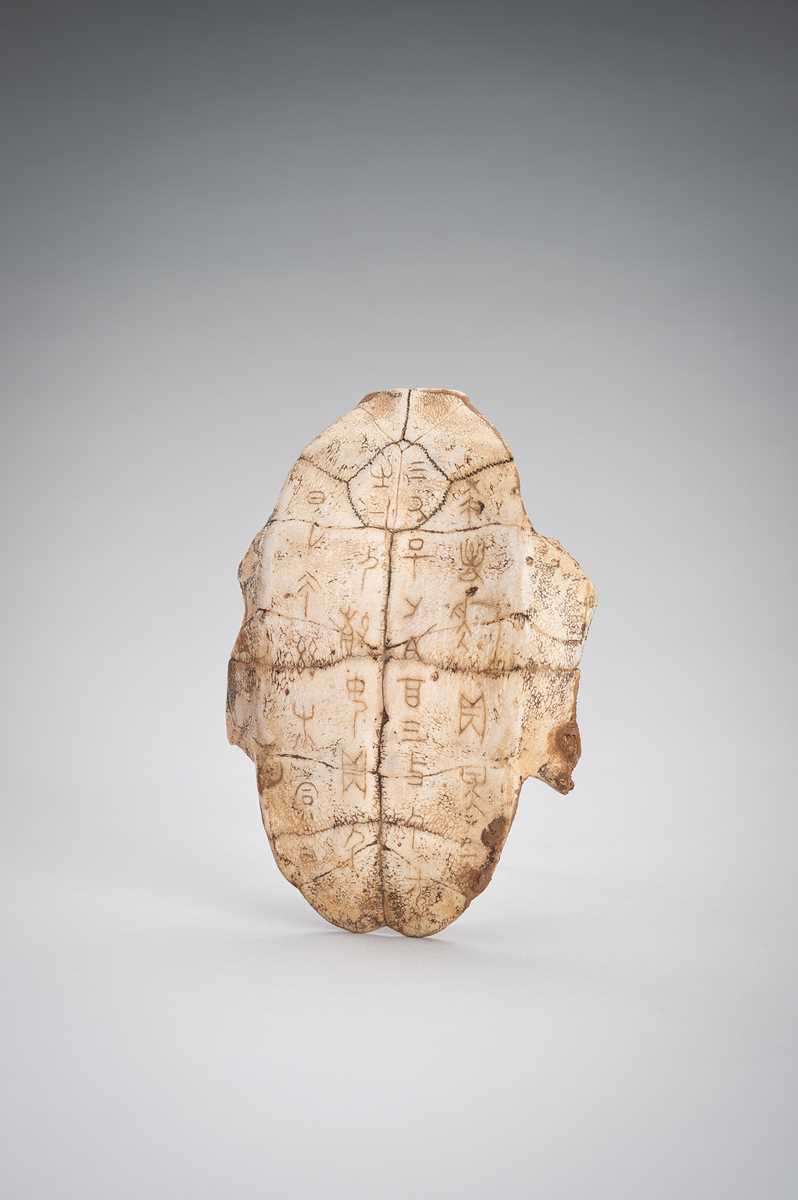 Lot 63 - AN INSCRIBED SHANG DYNASTY ‘ORACLE BONE’