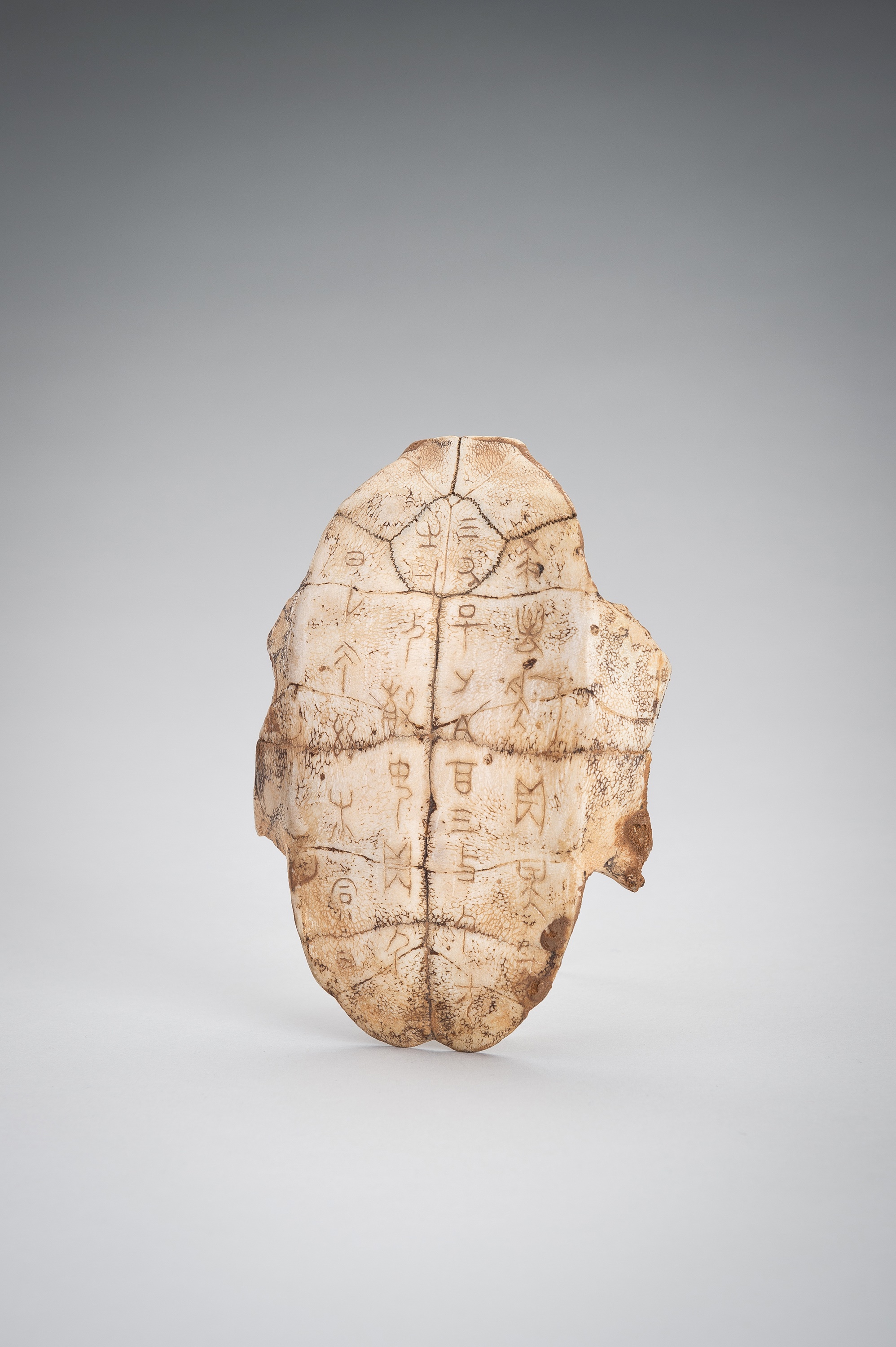 Lot 63 - AN INSCRIBED SHANG DYNASTY ‘ORACLE BONE’