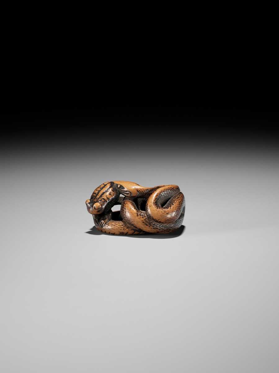 Lot 357 - AN EARLY WOOD NETSUKE OF A SNAKE AND FROG
