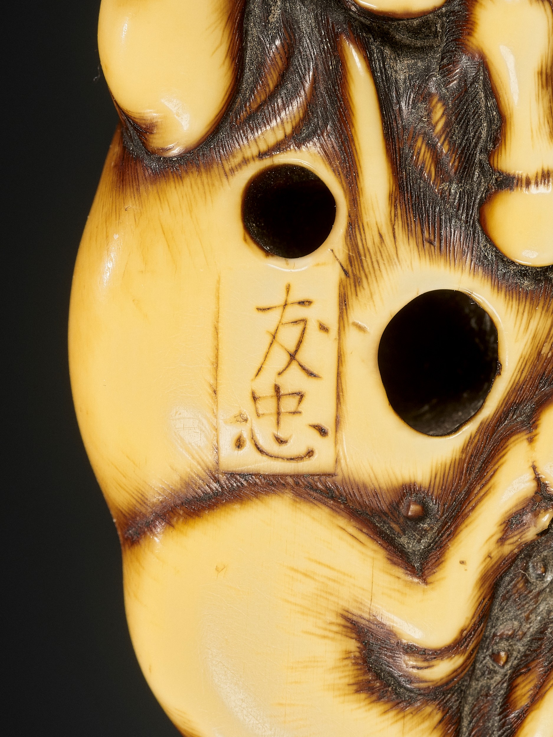 Lot 61 - TOMOTADA: A SUPERB IVORY NETSUKE OF A