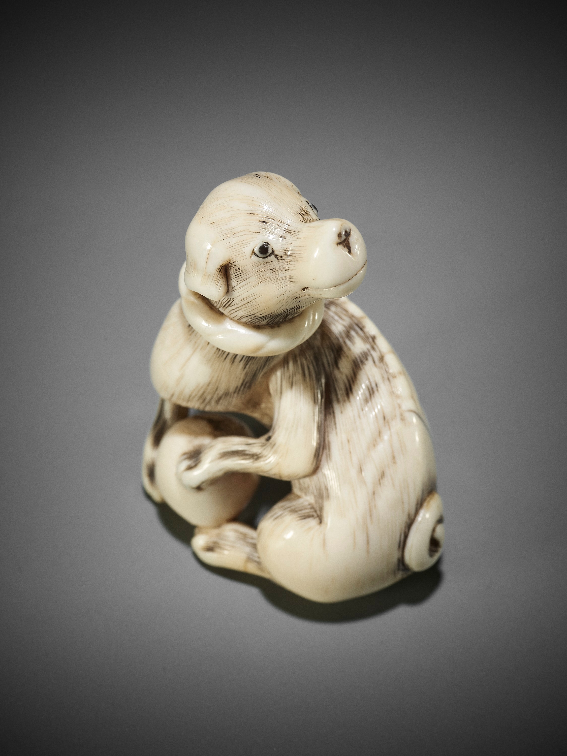 Lot 60 - AN IVORY NETSUKE OF A DOG WITH BALL,