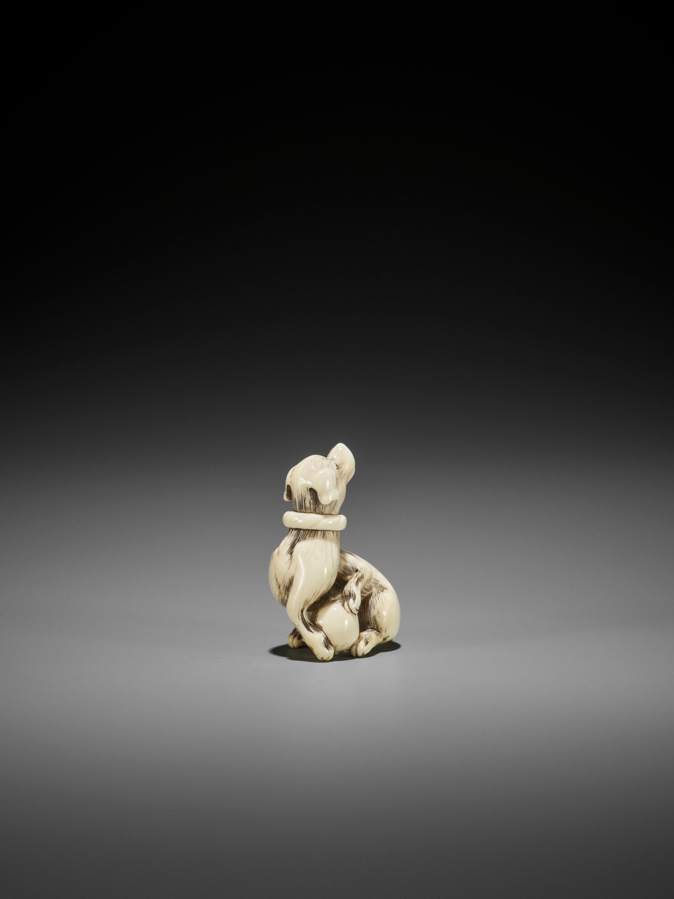 Lot 60 - AN IVORY NETSUKE OF A DOG WITH BALL,