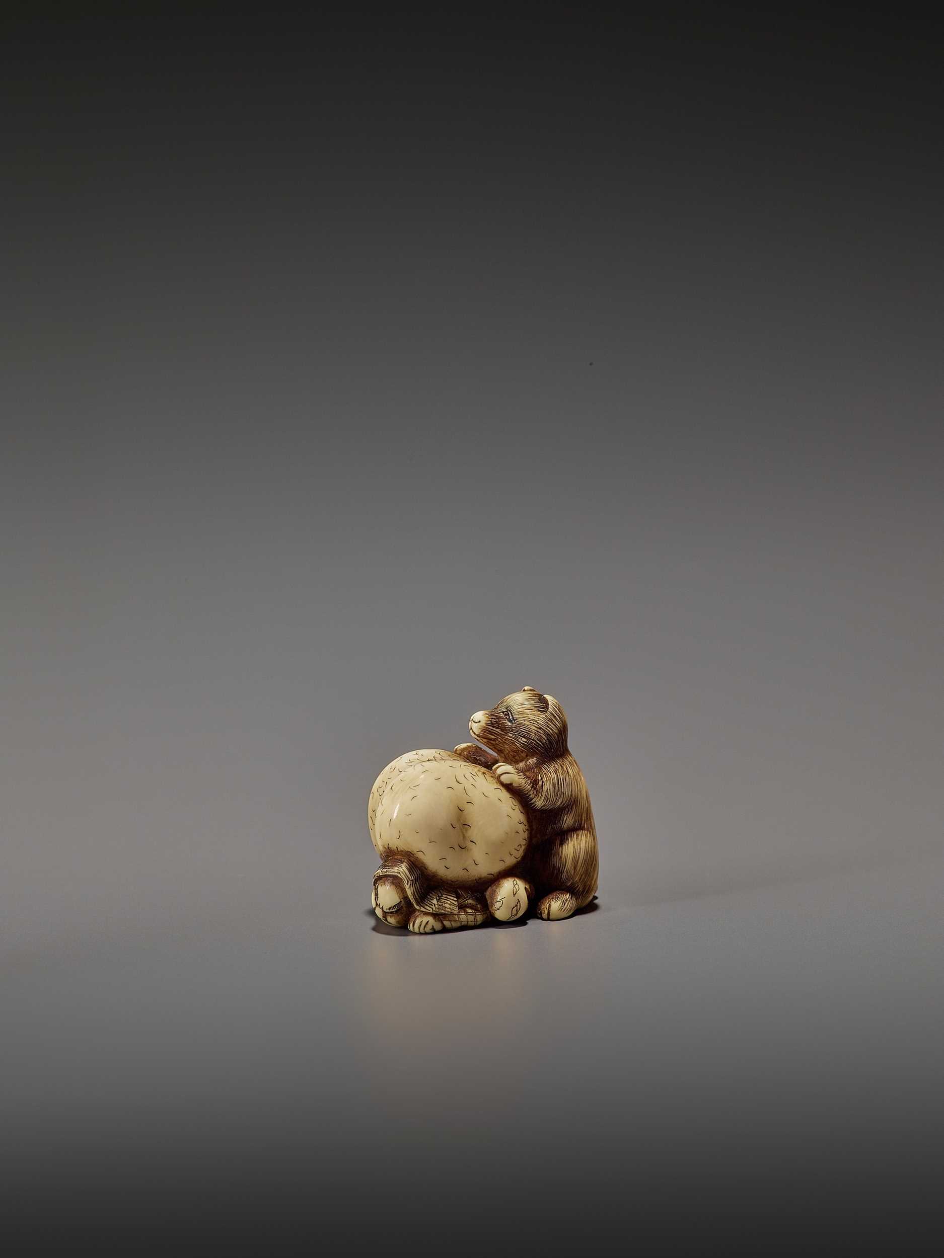 Lot 265 - SHUNGETSU: IVORY NETSUKE OF A TANUKI