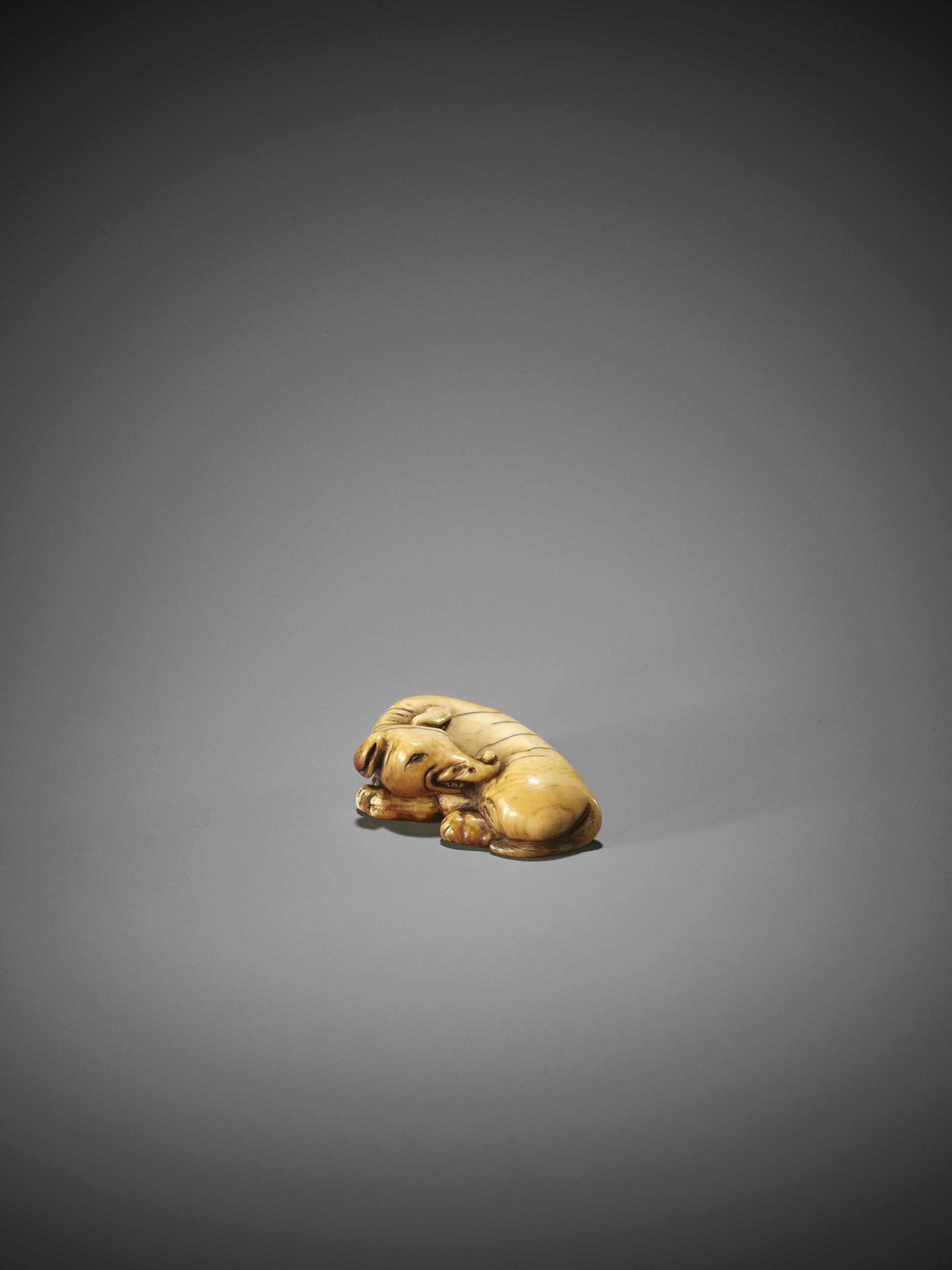 Lot 517 - AN OLD IVORY NETSUKE OF A RECLINING BAKU