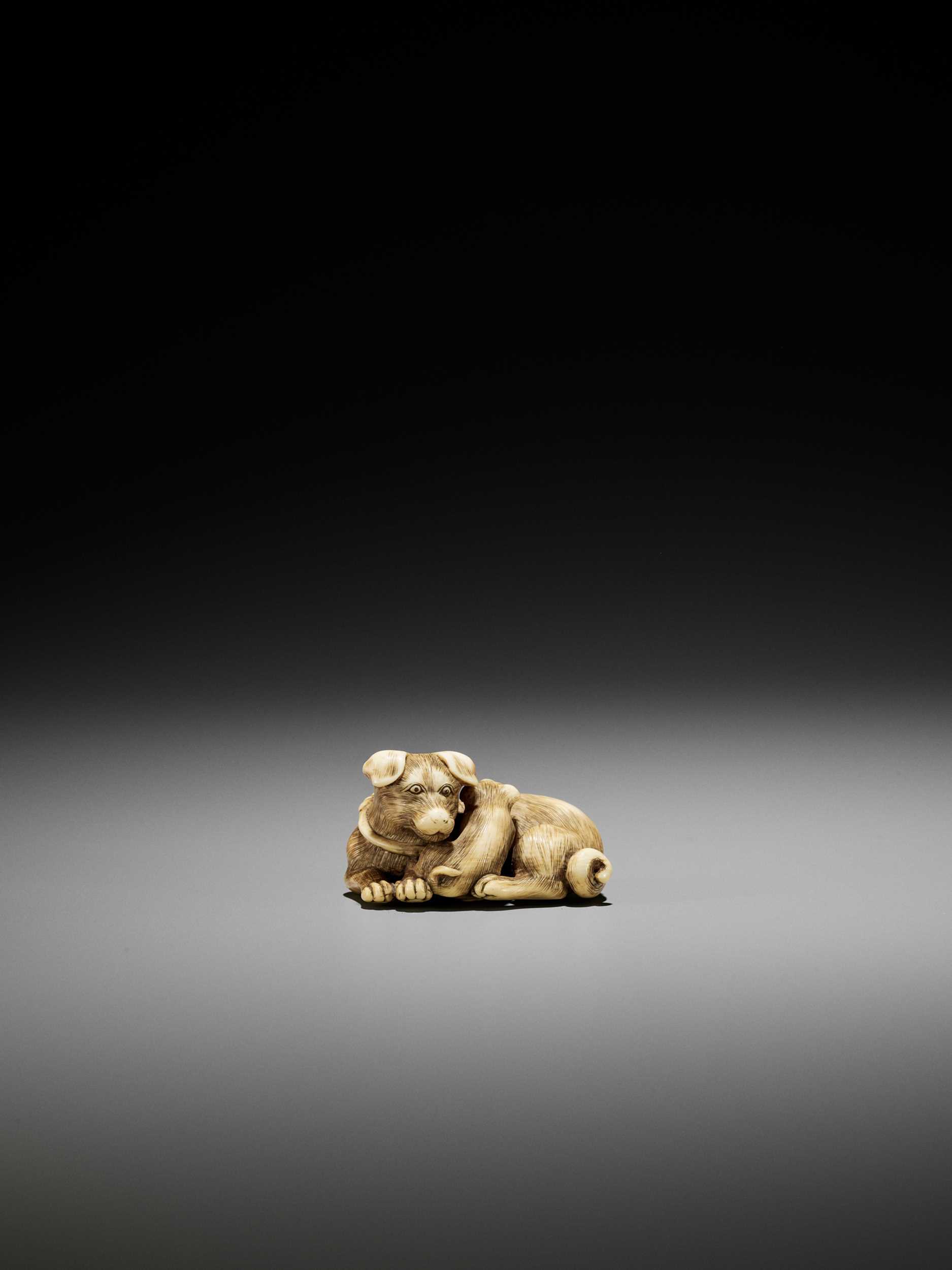 Lot 53 - A SUPERB IVORY NETSUKE OF A FEMALE DOG WITH