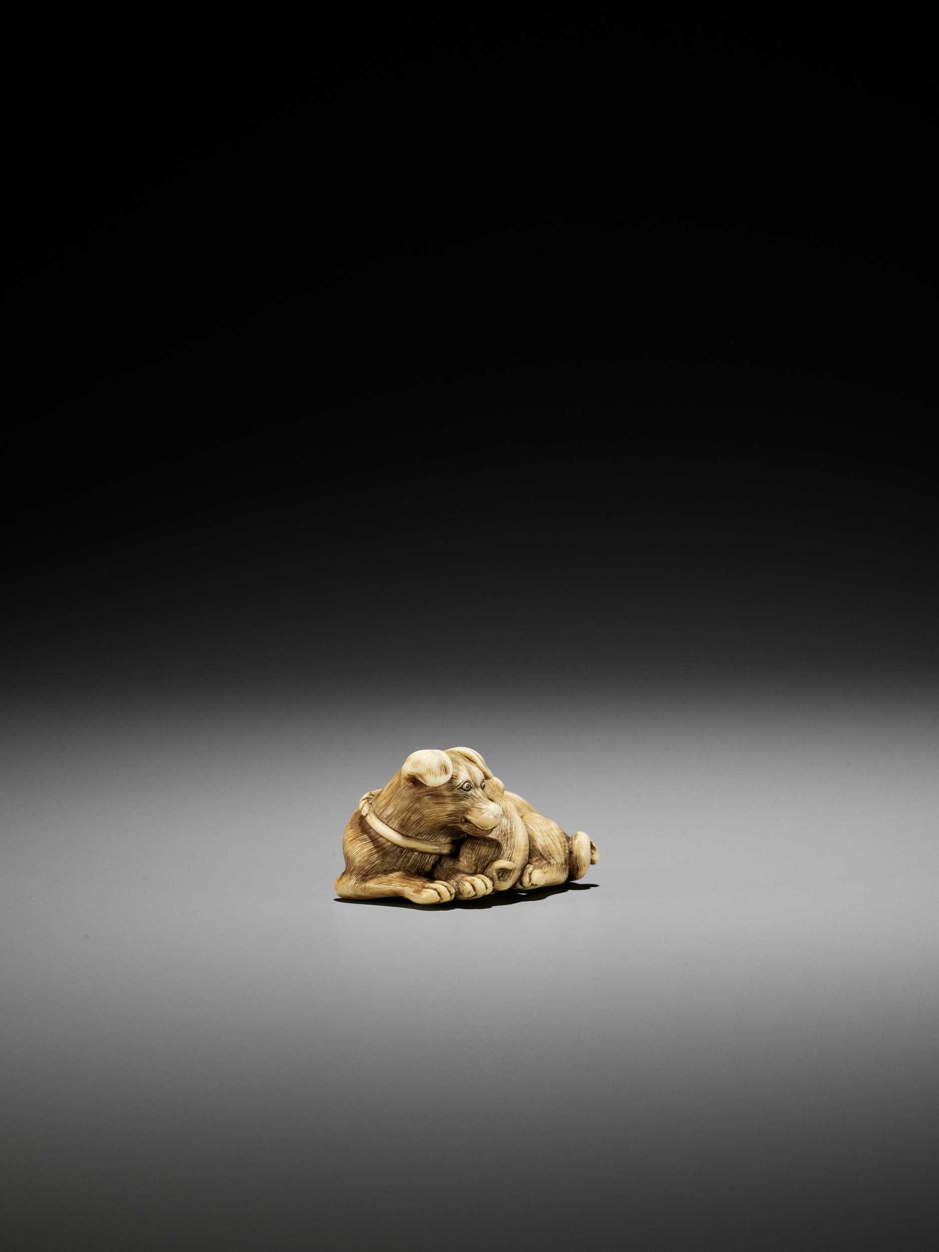 Lot 53 - A SUPERB IVORY NETSUKE OF A FEMALE DOG WITH