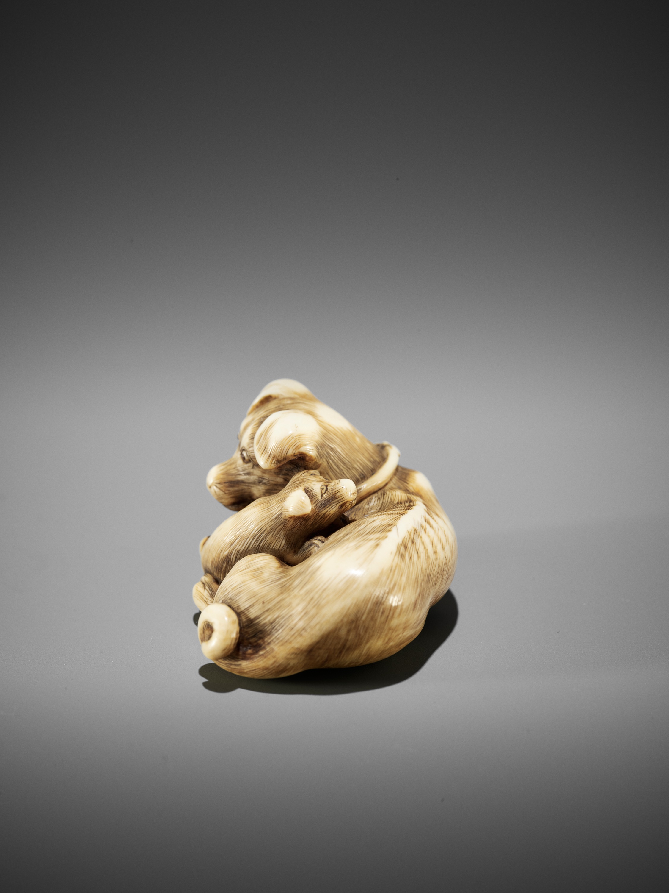 Lot 53 - A SUPERB IVORY NETSUKE OF A FEMALE DOG WITH