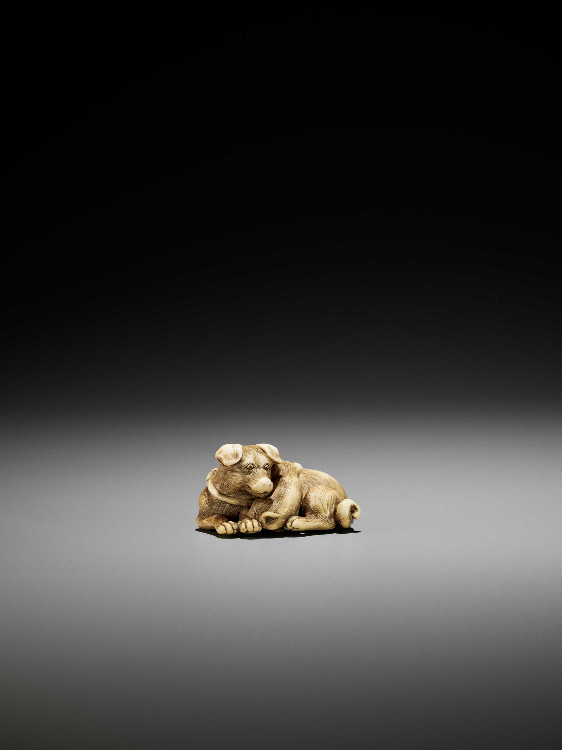 Lot 53 - A SUPERB IVORY NETSUKE OF A FEMALE DOG WITH