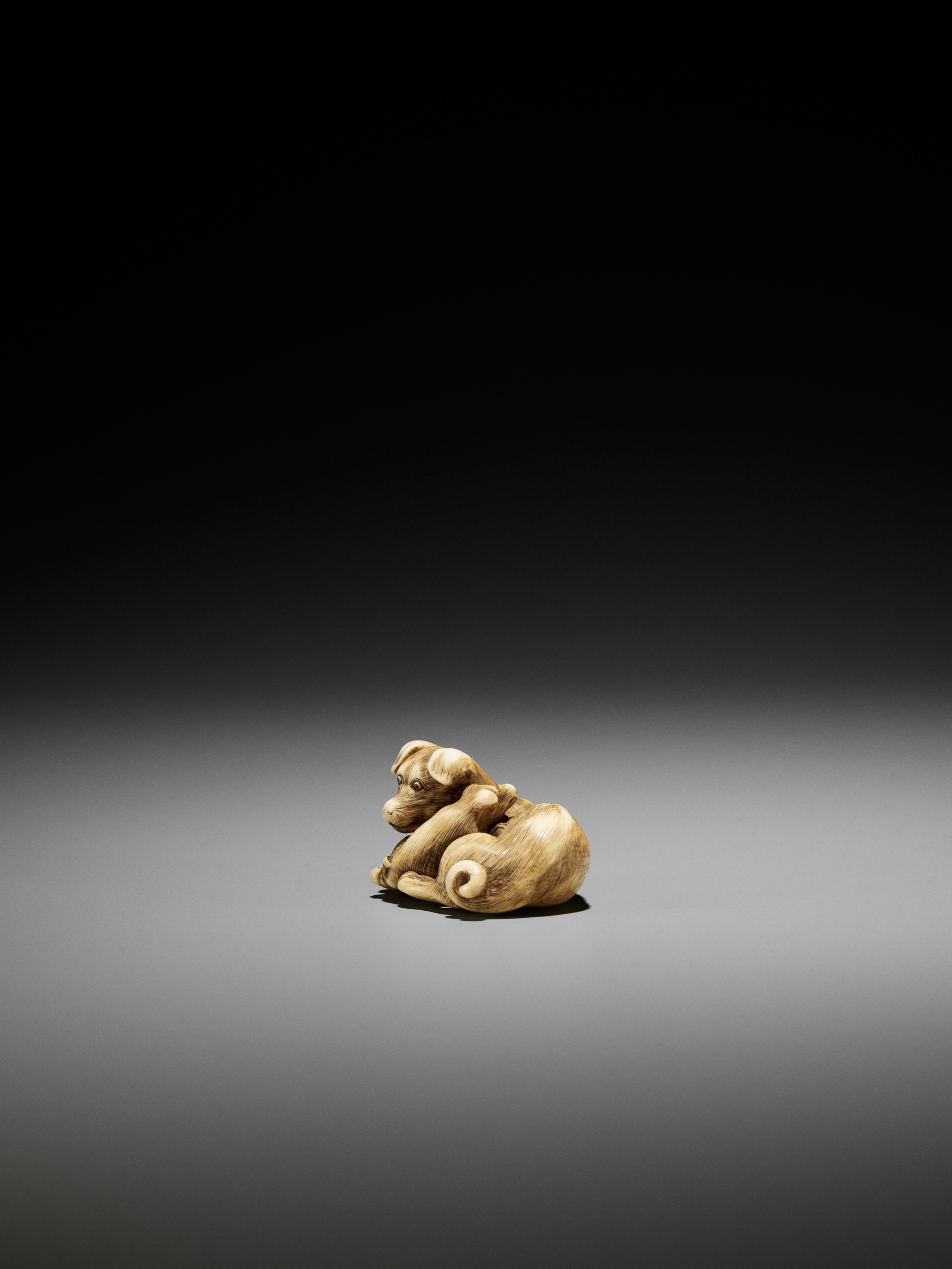 Lot 53 - A SUPERB IVORY NETSUKE OF A FEMALE DOG WITH
