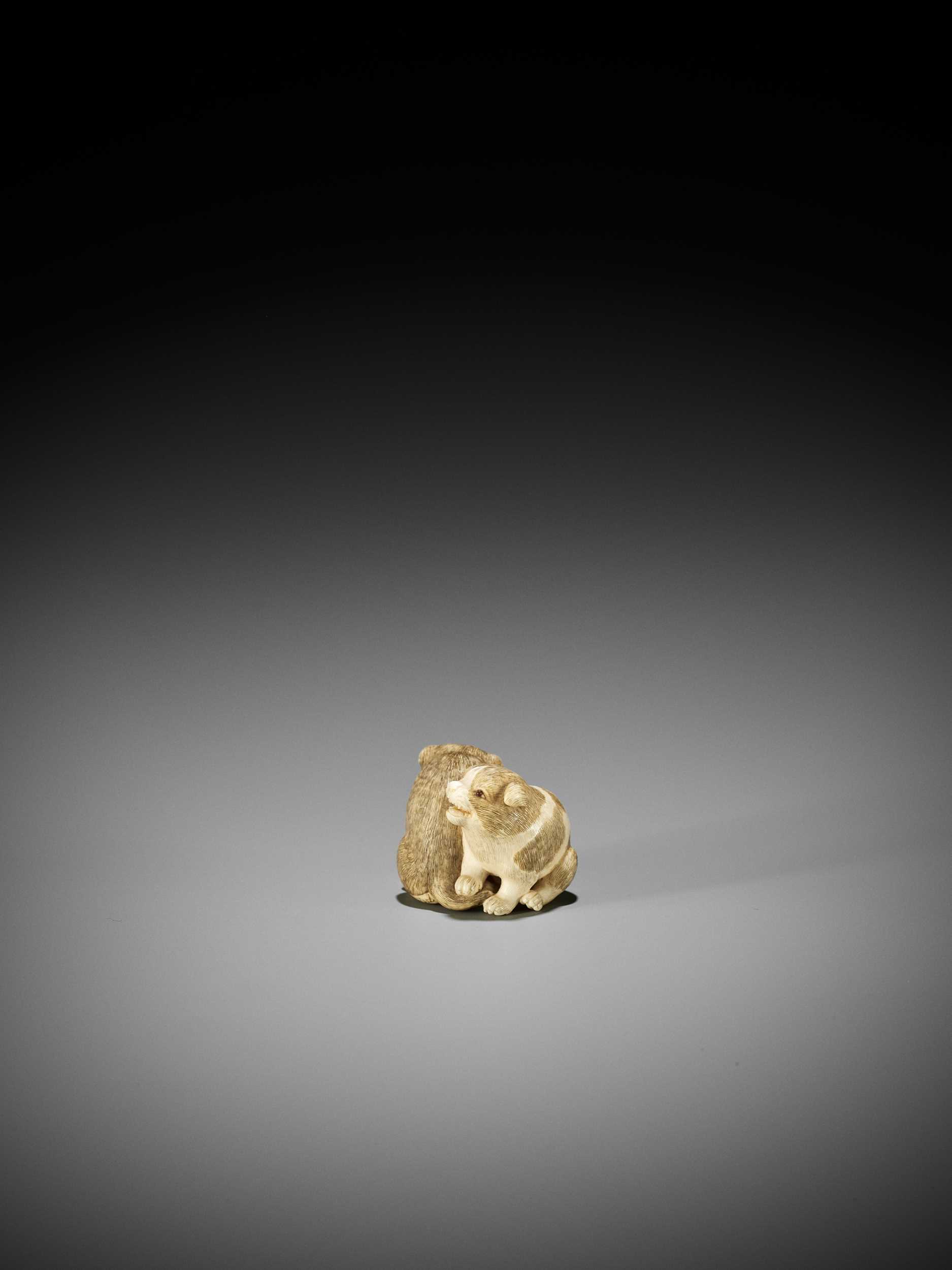 Lot 54 - OKATOMO: AN IVORY NETSUKE OF TWO PUPPIES WITH