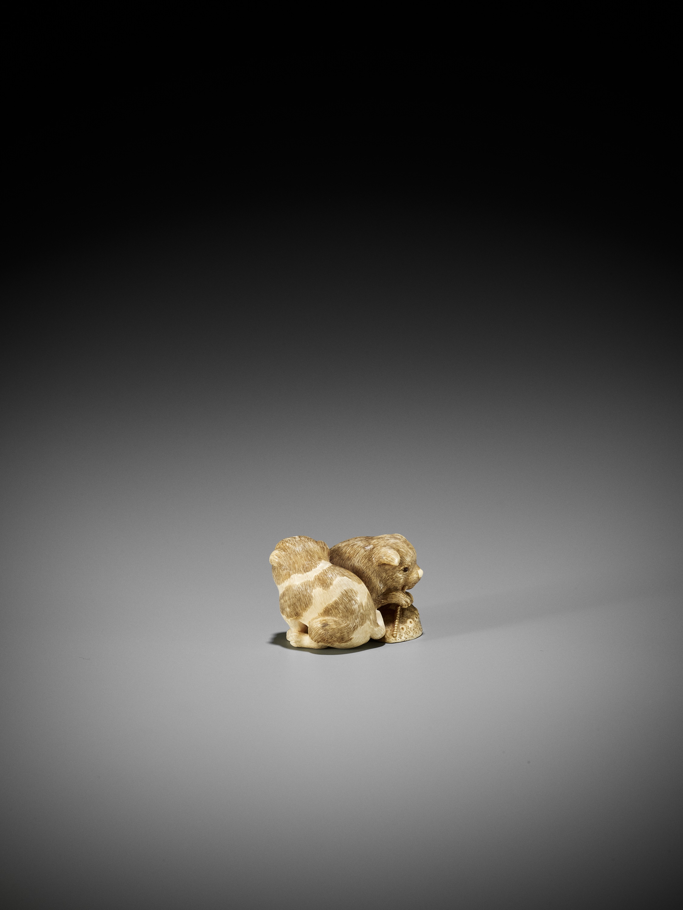 Lot 54 - OKATOMO: AN IVORY NETSUKE OF TWO PUPPIES WITH