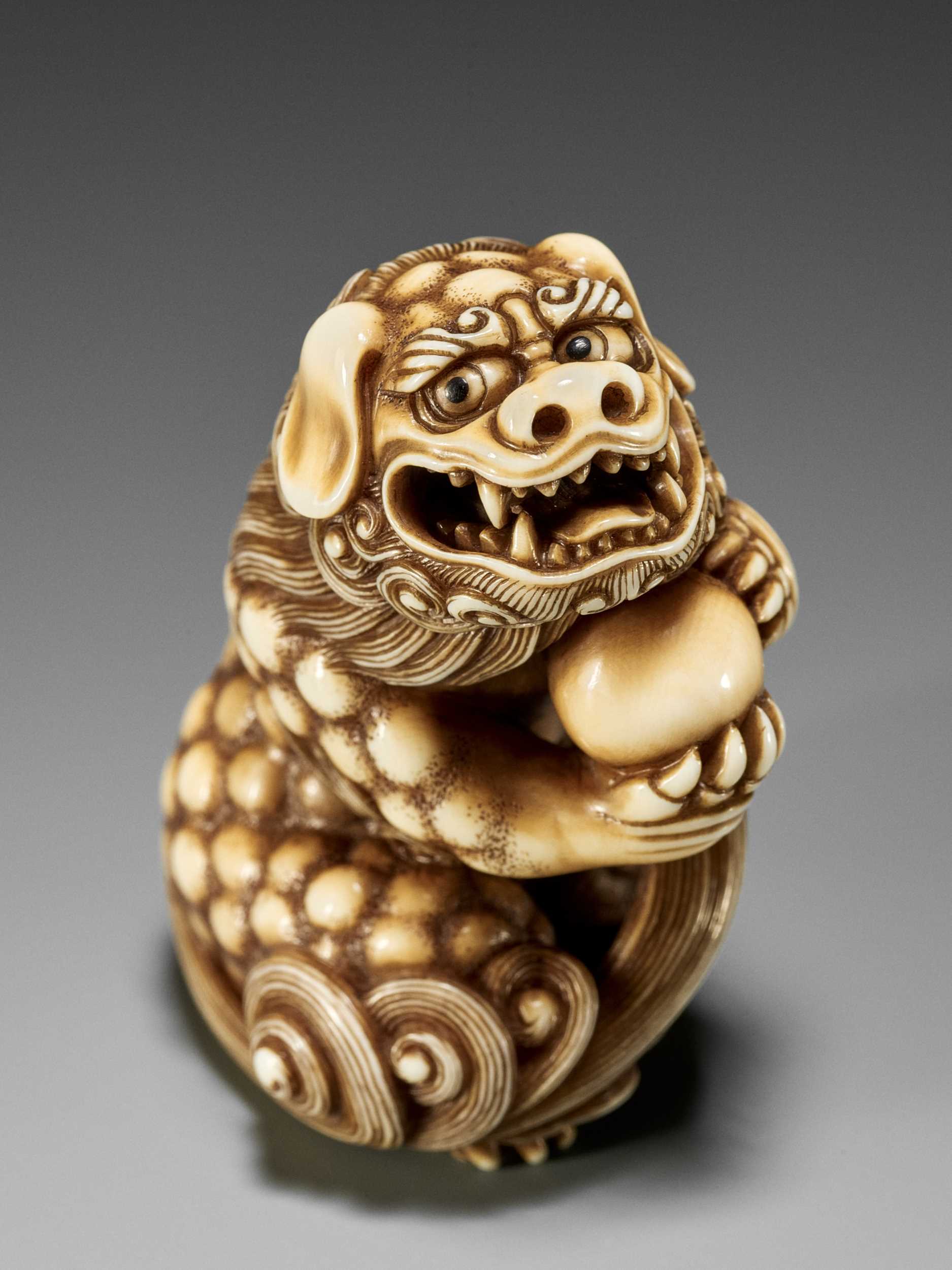 Lot 214 - MASATOSHI: A FINE IVORY NETSUKE OF A SHISHI