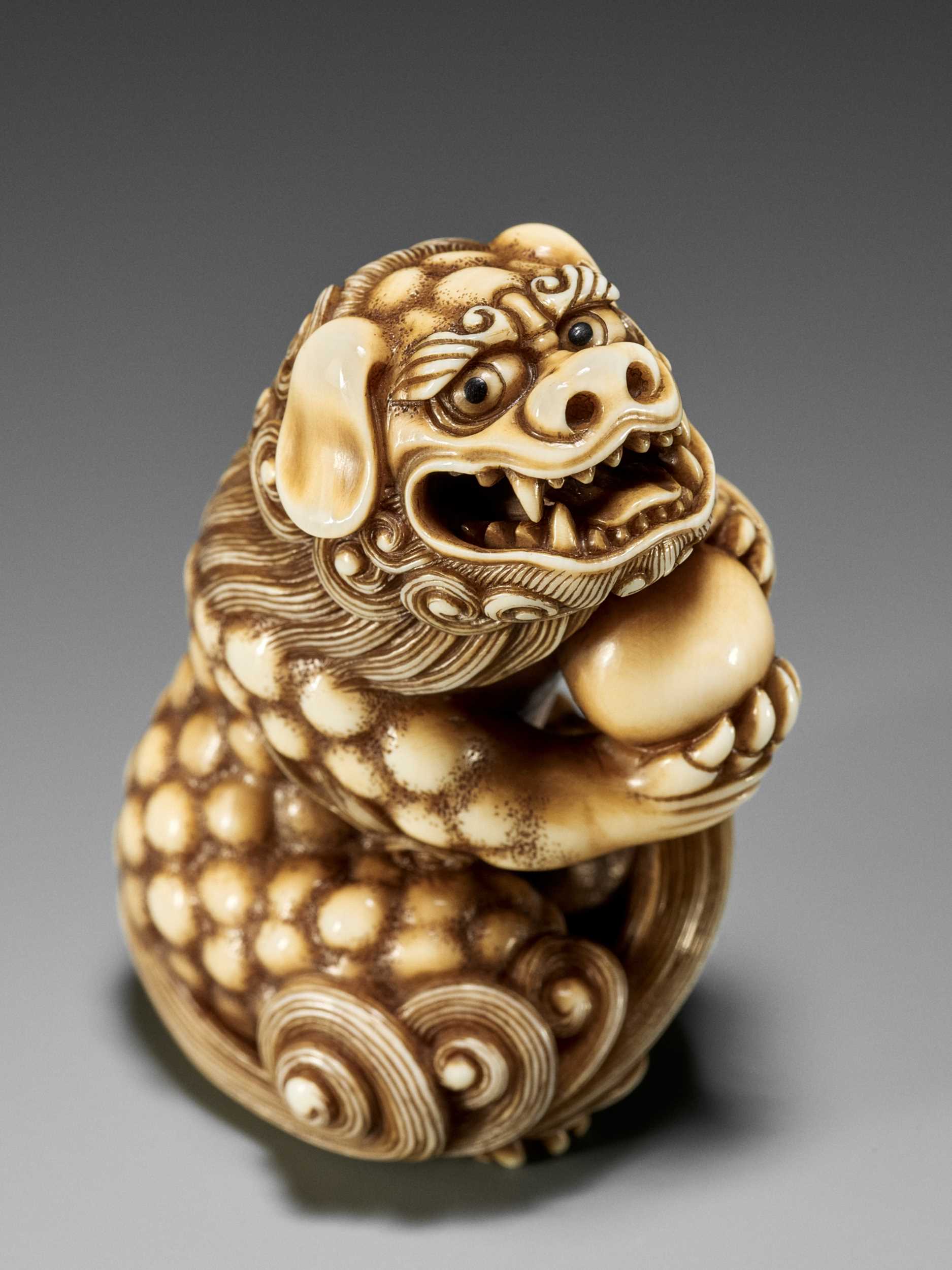 Lot 214 - MASATOSHI: A FINE IVORY NETSUKE OF A SHISHI